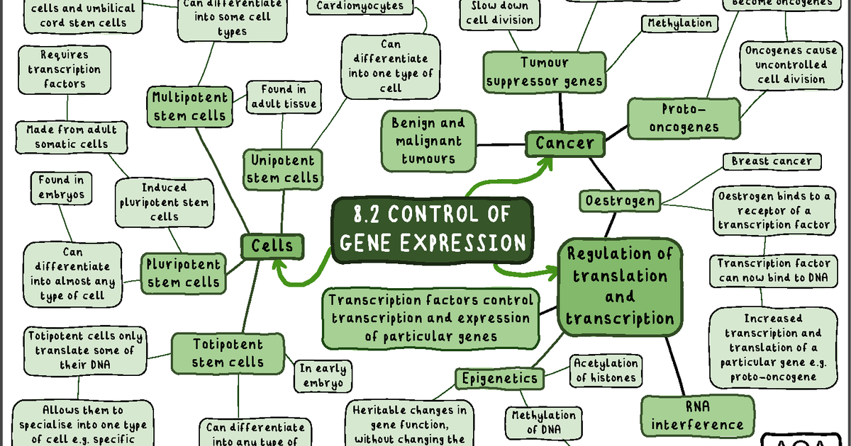 Mind Maps - Control of Gene Expression - AQA - PMT Education