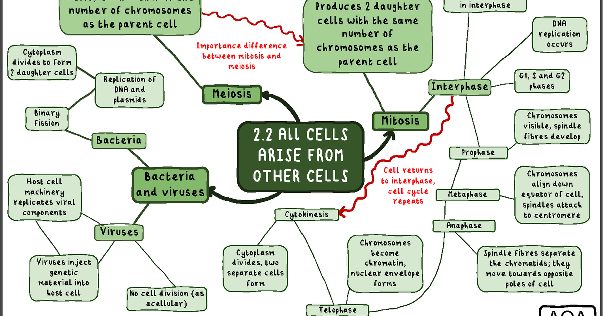 Mind Maps - Cells - AQA - PMT Education