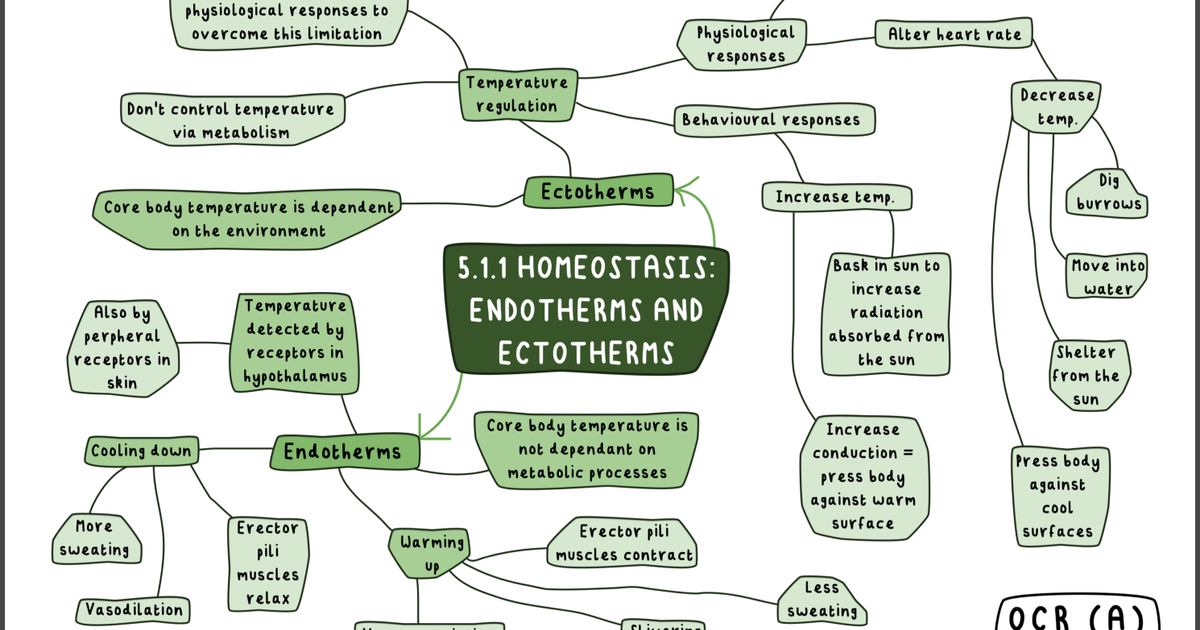 Mind Maps - Bundle - OCR (A) Biology A-Level - PMT Education