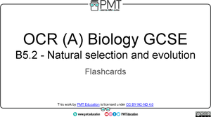 Flashcards - Bundle - OCR (A) Biology GCSE - PMT Education