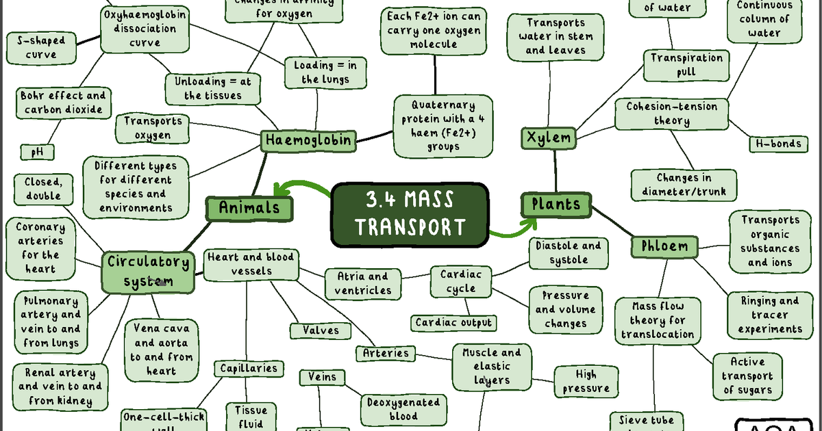 Mind Maps - Exchanges in Substances - AQA - PMT Education