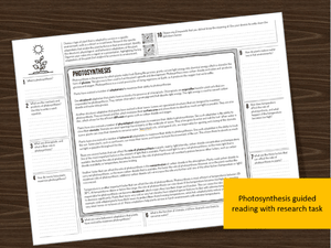 Photosynthesis - Guided Reading - PMT Education